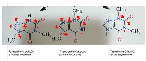 Solved 4 Isomers And Functional Groups Caffeine Metabolizes In The