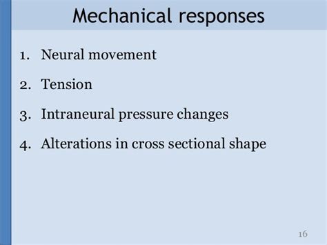 Neurodynamics Mobilization Of Nervous System Neural Mobilization