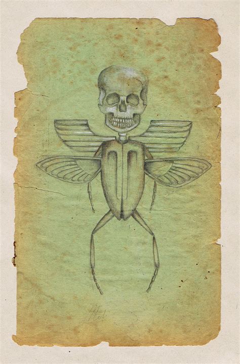 Cci06062011 00001 Bmp Lisa Gingles Flickr