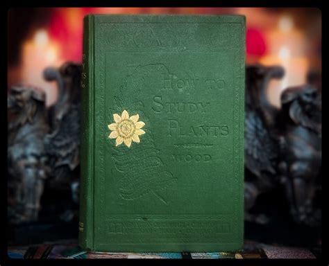 1895 Botany Book How To Study Plants Very Rare Antique Vintage