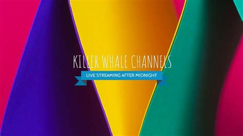 Reading 2 Timothy Kjv Network And Chat