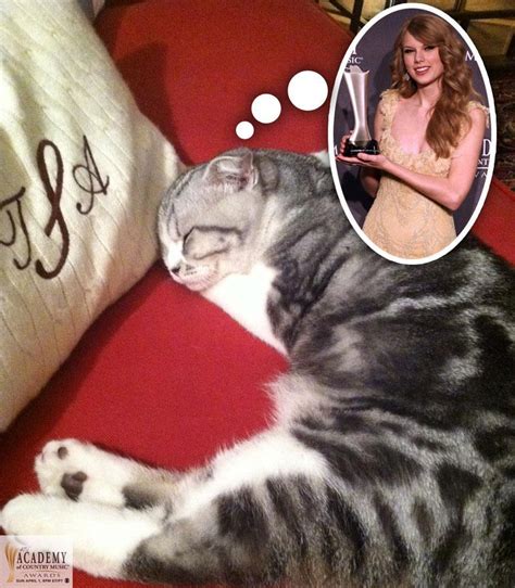 Taylor Swift Fans Indonesia Meredith And Acm Voting