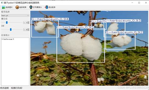 基于yolov11的棉花品种分类检测系统python源码 pytorch模型 评估指标曲线 精美gui界面 腾讯云开发者社区 腾讯云