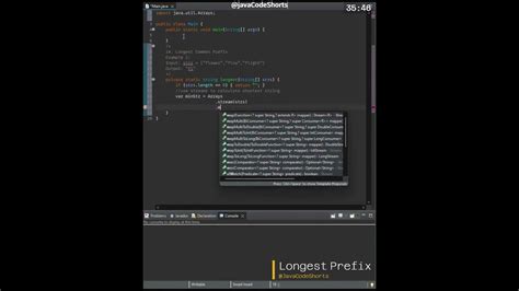 0032 longest common prefix in java algorithm programming coding