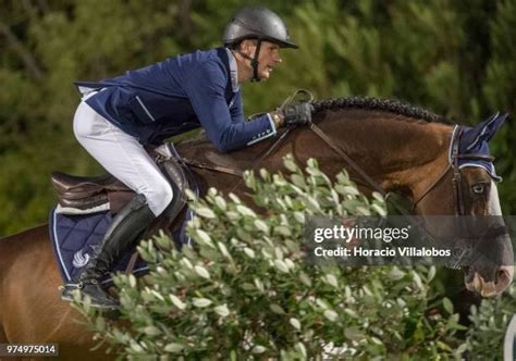 Kukuk Photos And Premium High Res Pictures Getty Images