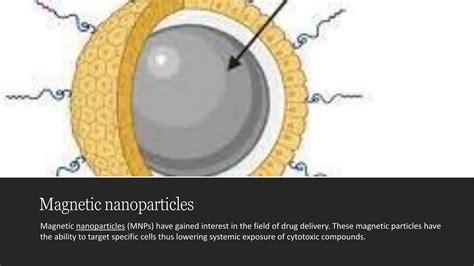 Magnetic Nanoparticles Introduction Synthesis And Role In Health Carepdf