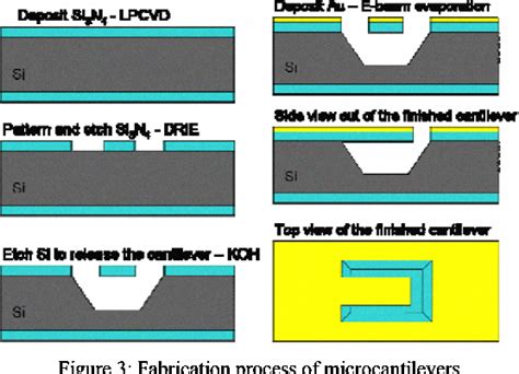 Figure 10 From Magnetic Particle Enhanced Microcantilever Biosensor For Rapid And Sensitive E