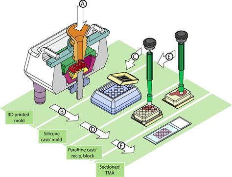 Tma Mate An Open Source Modular Toolkit For Constructing Tissue Microarrays Of Arbitrary