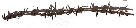 Ww2 German Nazi Concentration Camp Auschwitz Birkenau Barbed Wire