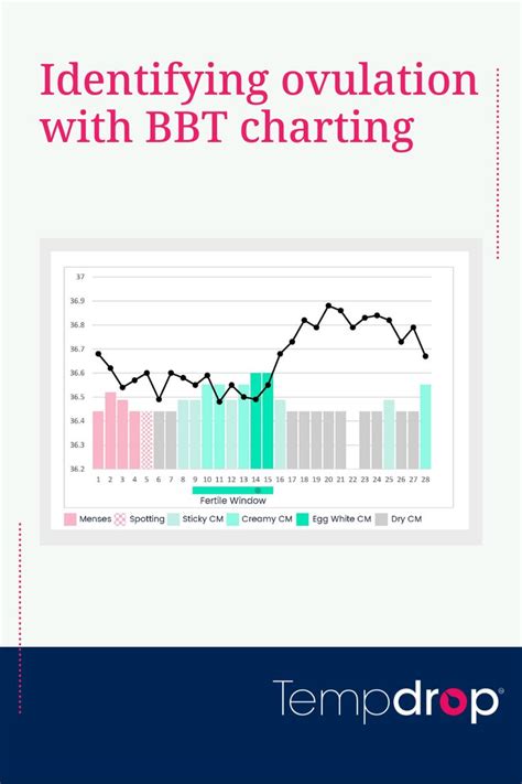 Identifying Ovulation With Bbt Charting Fertility Awareness Method Ovulation Fertility Awareness