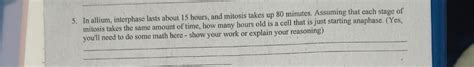 5 In Allium Interphase Lasts About 15 Hours And Mitosis Takes Up 80 Minutes Assuming That Each