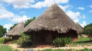 Lodges And Camps Tsavo East Tropical Cats Tours