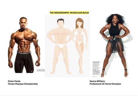 Body Type Workouts For Endomorph Ectomorph And Mesomorph