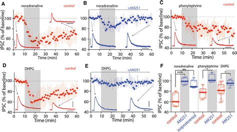 Locus Coeruleus Anchors A Trisynaptic Circuit Controlling Fear Induced Suppression Of Feeding Pmc