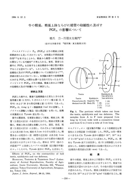 Full Article Effects Of Pgf2alpha On The Contractility Of Bull