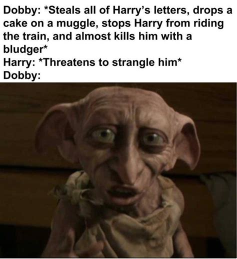 Harry Potter 10 Memes That Perfectly Sum Up Dobby As A Character