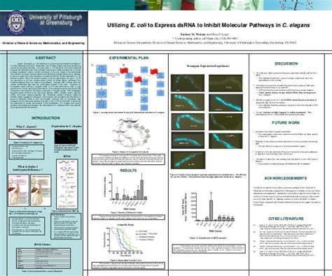 Biochemistry Poster