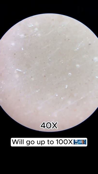 Chocolate Under The Microscope Youtube