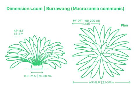 Dimensions Database Of Dimensioned Drawings