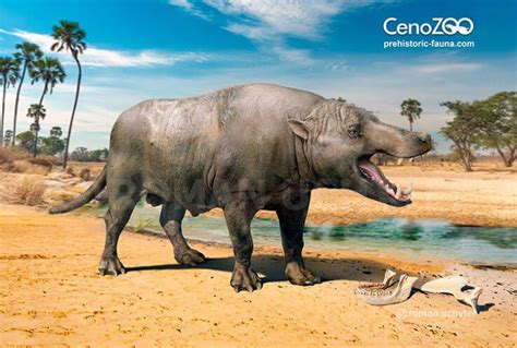 Mundo Pré Histórico Andrewsarchus Uma Grande Besta Misteriosa
