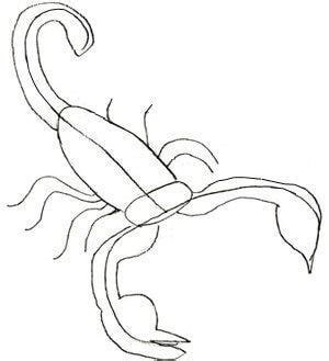 How To Draw A Scorpion Step By Step Drawing Tutorial