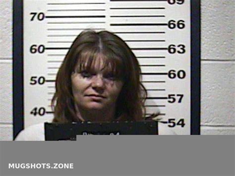 Burleson Ginger Ann 04132023 Dickinson County Mugshots Zone