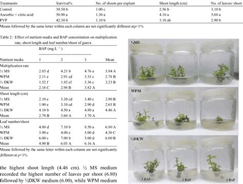 Effect Of Nutrient Media And Bap On Multiplication Rate And Shoot Download Scientific Diagram
