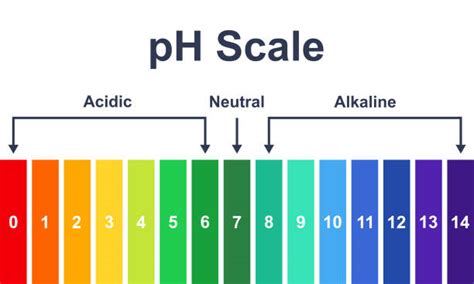 2400 Laboratory Balance Stock Illustrations Royalty Free Vector