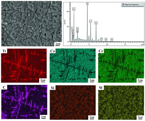 Elemental Distribution Of The Typical Dendritic Structure Via The Eds