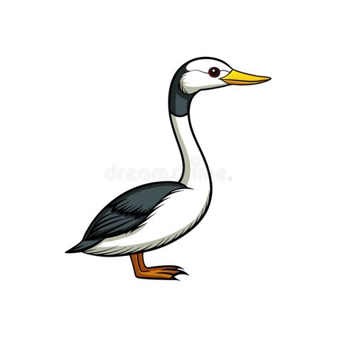 Grebe Illustration Stock Illustrations 2 263 Grebe Illustration Stock Illustrations Vectors