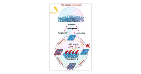 First Principles Insights Into Tungsten Semicarbide Based Single Atom