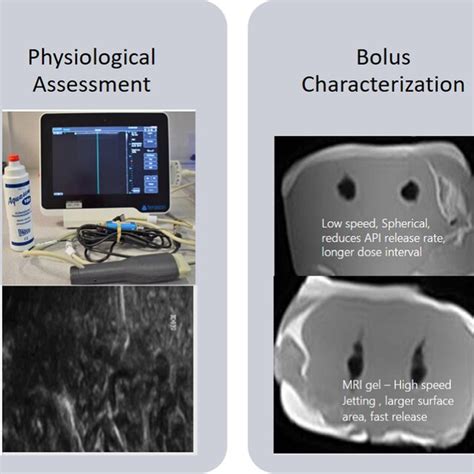 Integrated Approach Towards Optimizing Delivery Download Scientific