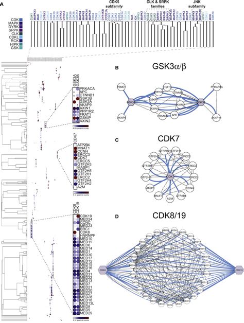 Hierarchical Clustering Of The Cmgc Hcips Download Scientific Diagram