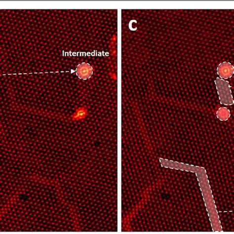 Formation Of The Intermediate Phase Of The Atomic Cluster Inside The