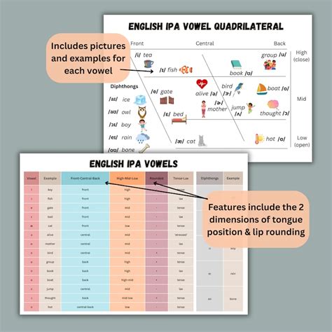 Ipa Vowel Quadrilateral Printable Speech Therapy Chart Digital