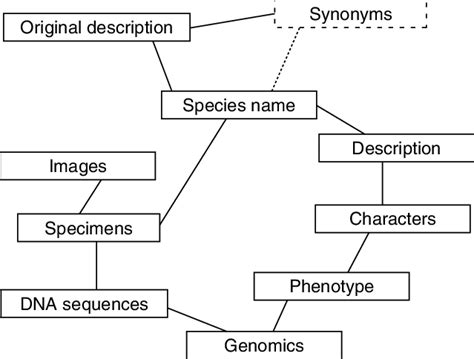Phenotype Synonym