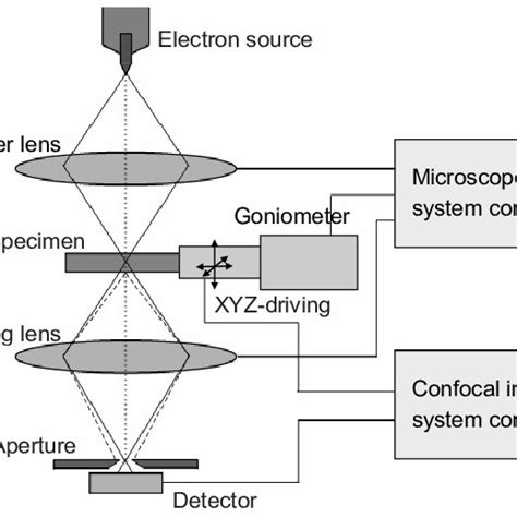 Schematic Diagram Of Confocal Stem With The Stagescanning System