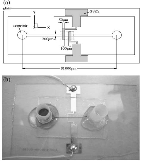 microfluidic device configuration a schematic illustration of