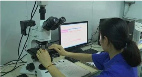 Lab Test Predesign In Pune ID