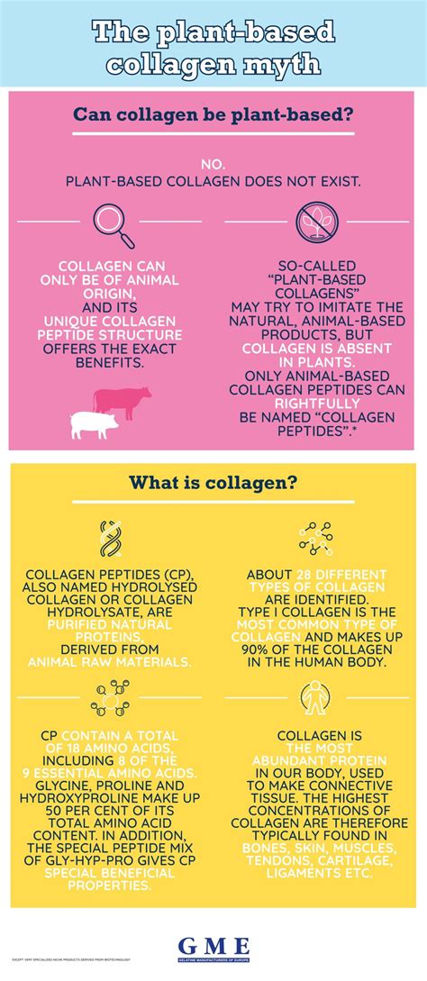 Can Collagen Be Plant Based Goldensand