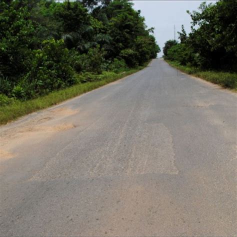 Grass And Earth Berms Preventing Run Off Water From Flowing To The Side