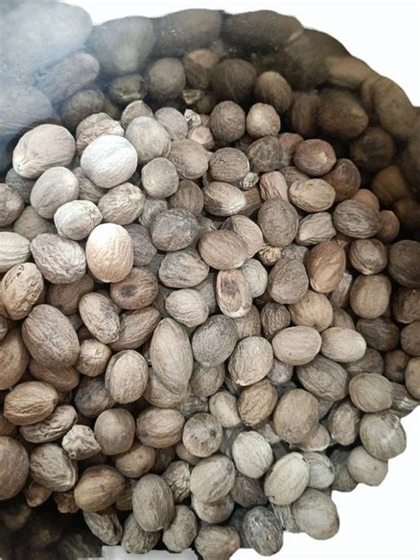 Jayfal With Shell Packaging Size 1 Kg At ₹ 1100kg In Gurugram Id