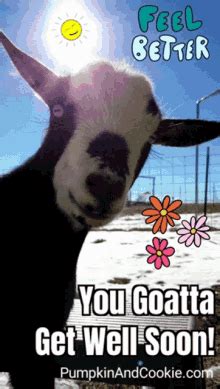 Funny Get Well Soon Memes S Tenor