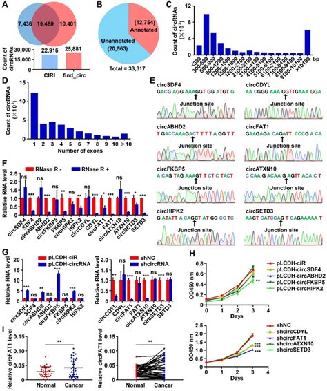 Circrna Profiling In A549 Luad Cells And Functional Screening Of Circrna Profiling In A549 Luad Cells And Functional Screening Of
