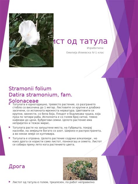 Лист од татула Pdf