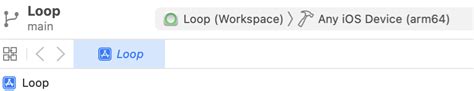 TestFlight From Xcode LoopDocs