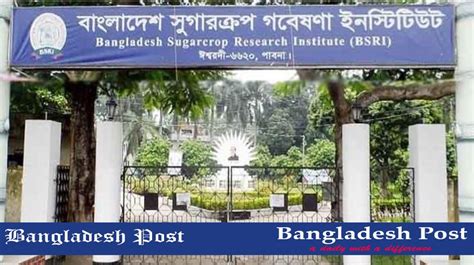 Bsri Job Circular 2023 Bd Bangladesh Post
