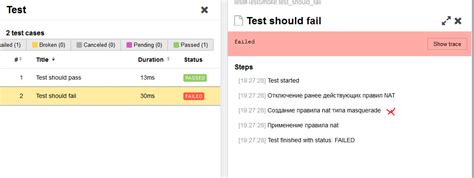 Allure Py Test Продолжение теста после Assert ов использующихся в Step ах Allure