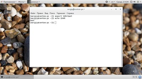 Основные команды Bash Losst