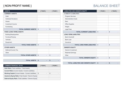 Nonprofit Financial Statement Template Premium Template